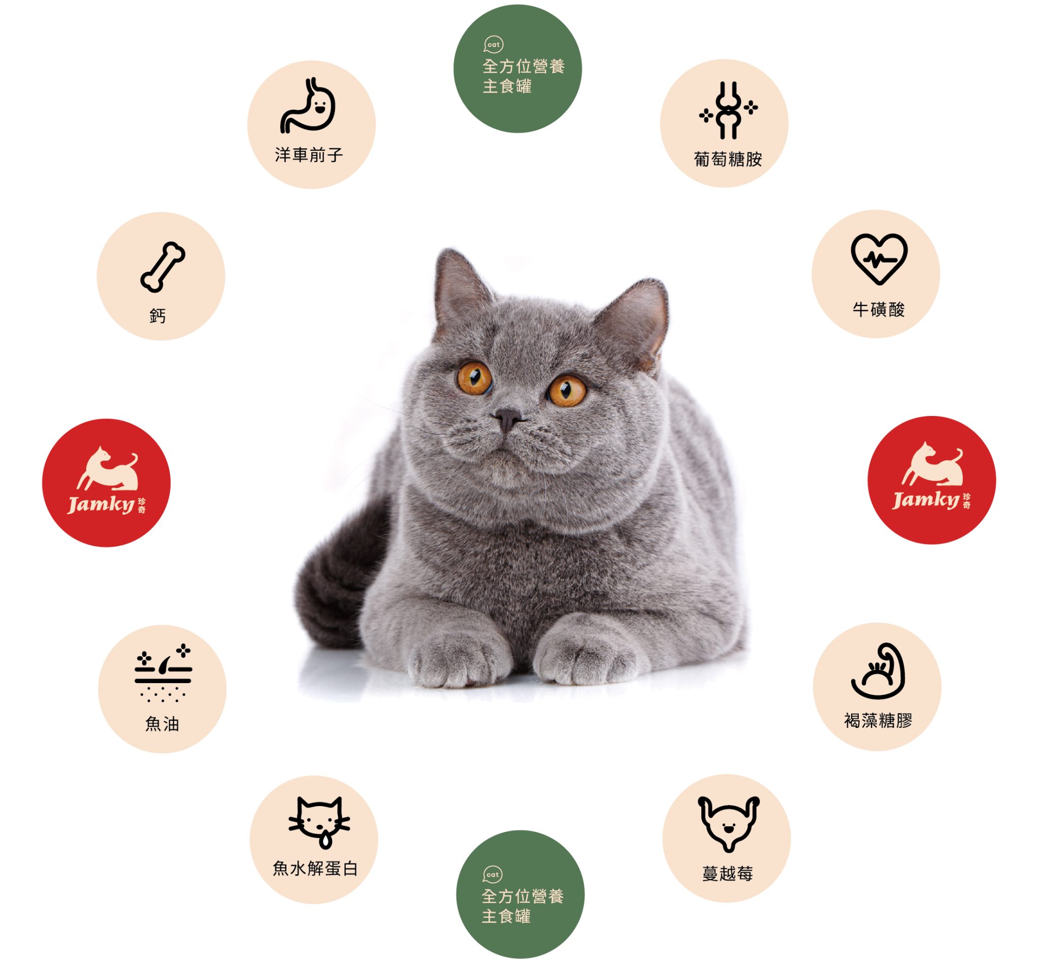 Jamky珍奇-毛孩品味生活 - Jamky